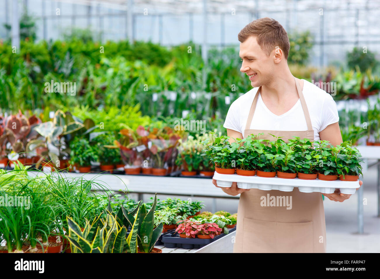 Beautiful glass orangery flowers hi-res stock photography and images ...