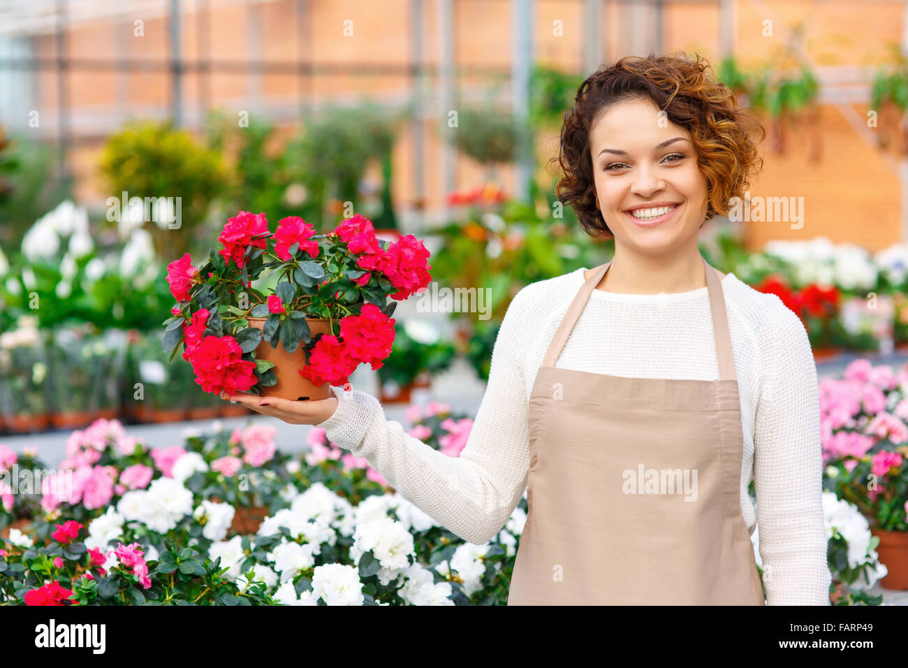 Presenting a flower hi-res stock photography and images - Alamy