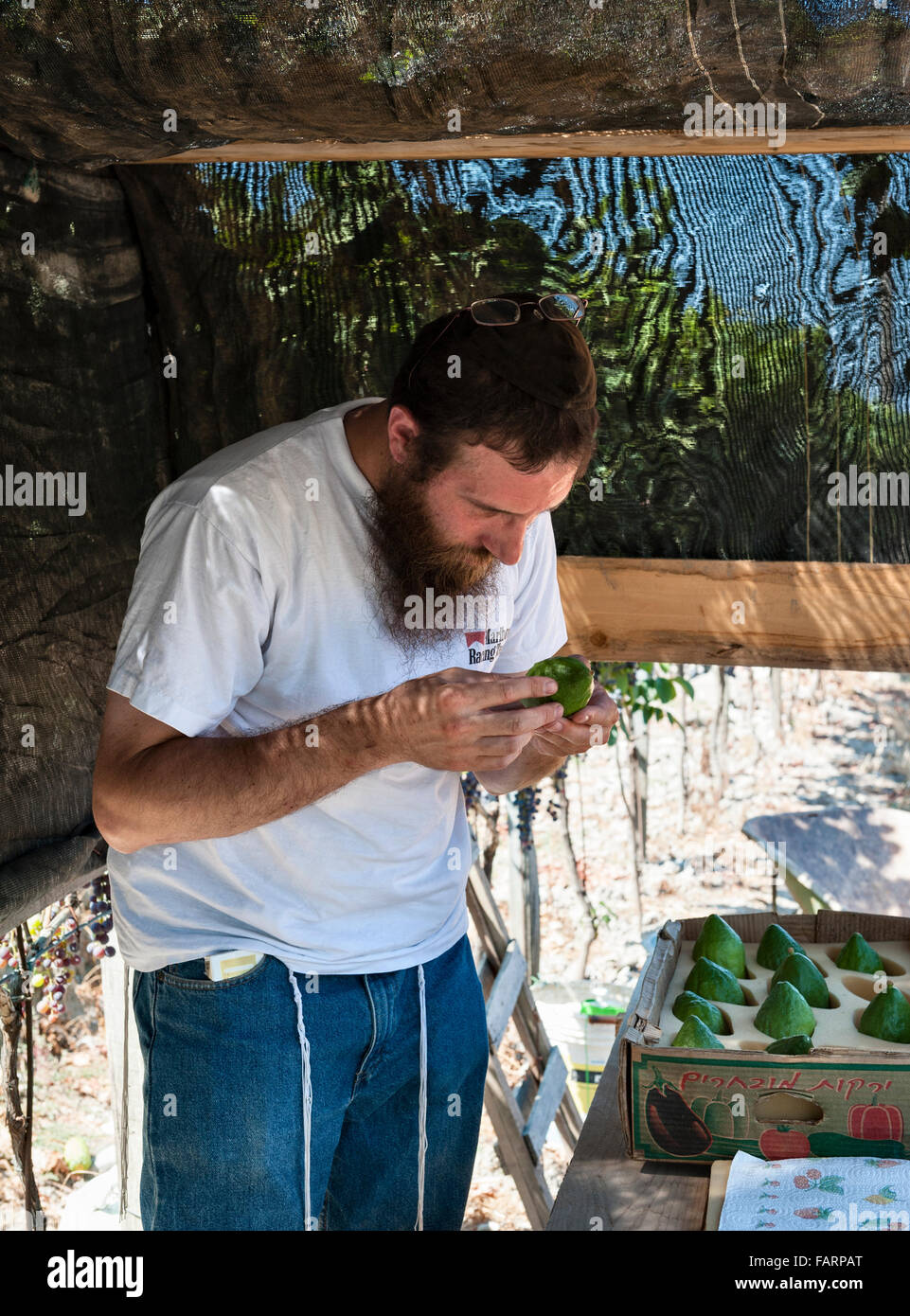 Fruit merchant hi-res stock photography and images - Alamy