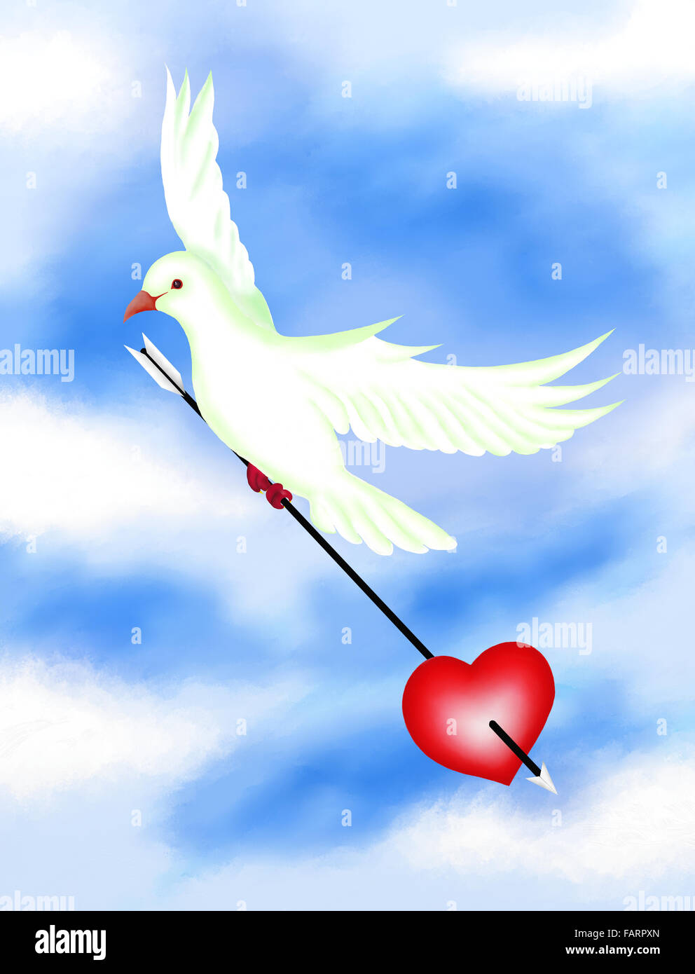 White Pigeon Flying Love