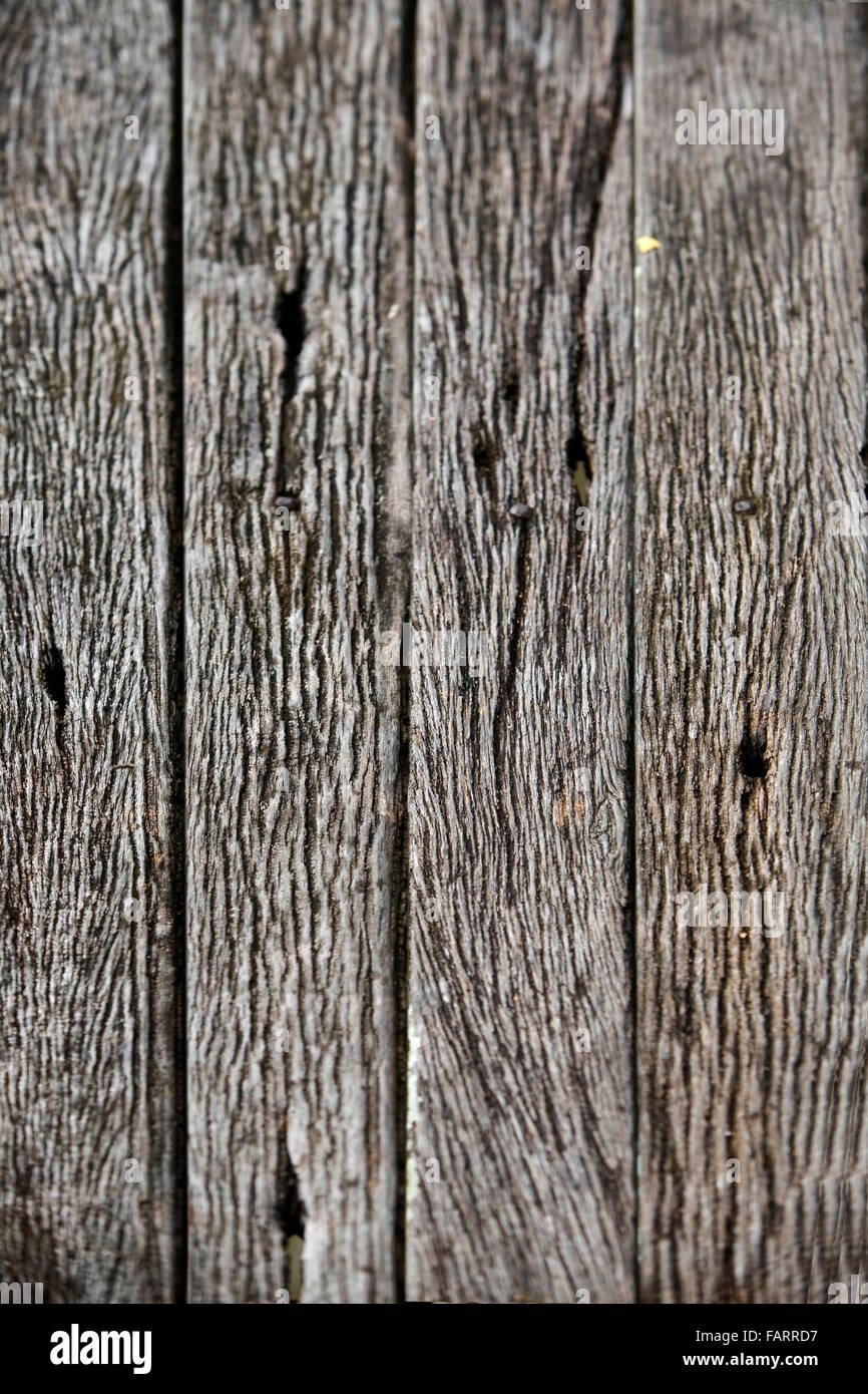 selective focus of the wood texture Stock Photo - Alamy