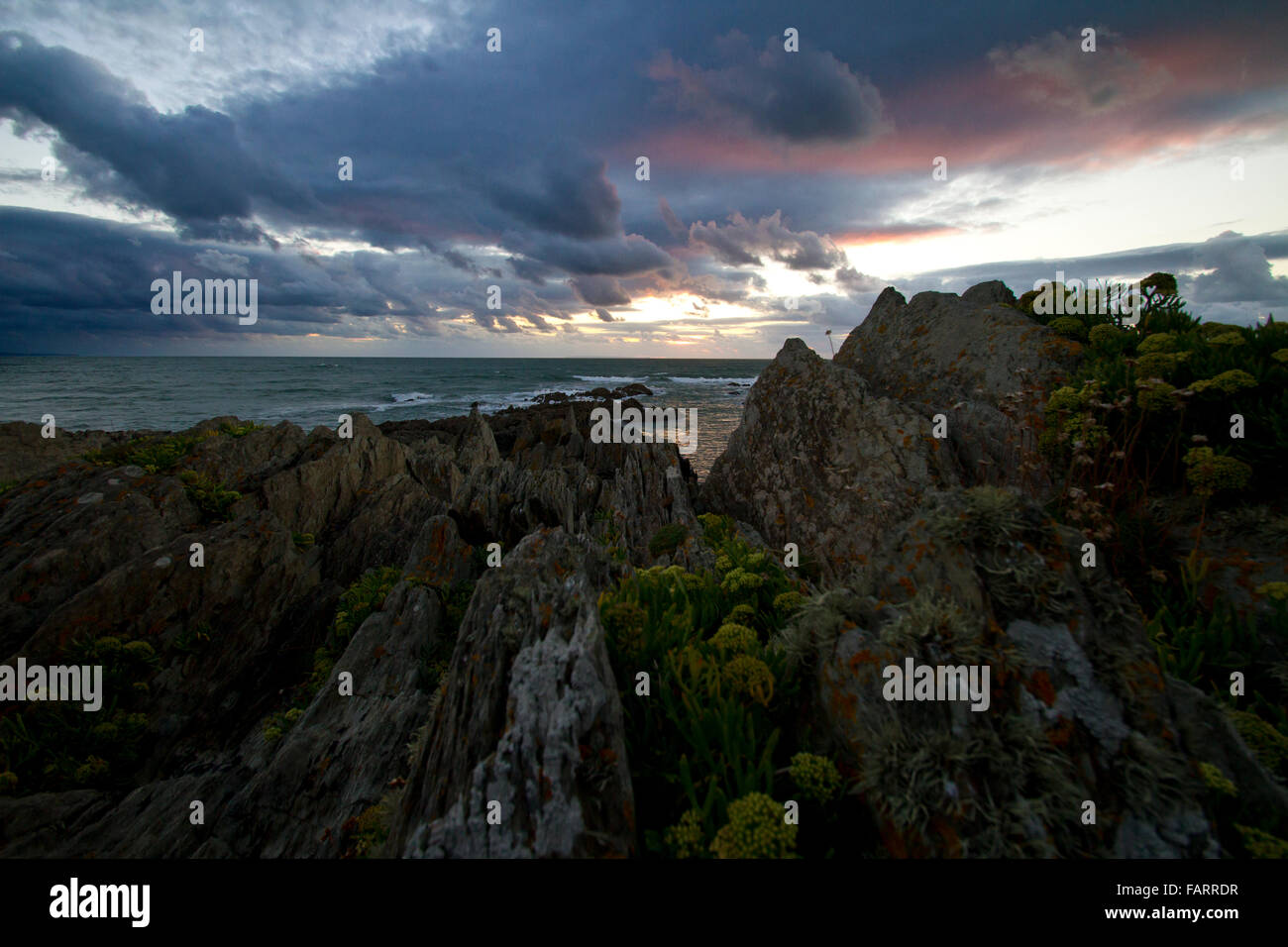 Evening sunset in devon Stock Photo - Alamy