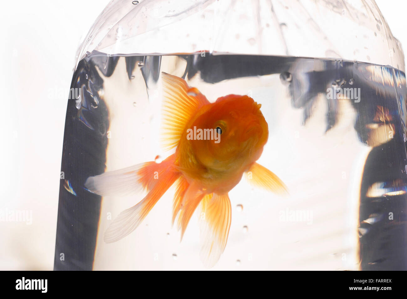 Stock bag hi-res stock photography and images - Alamy