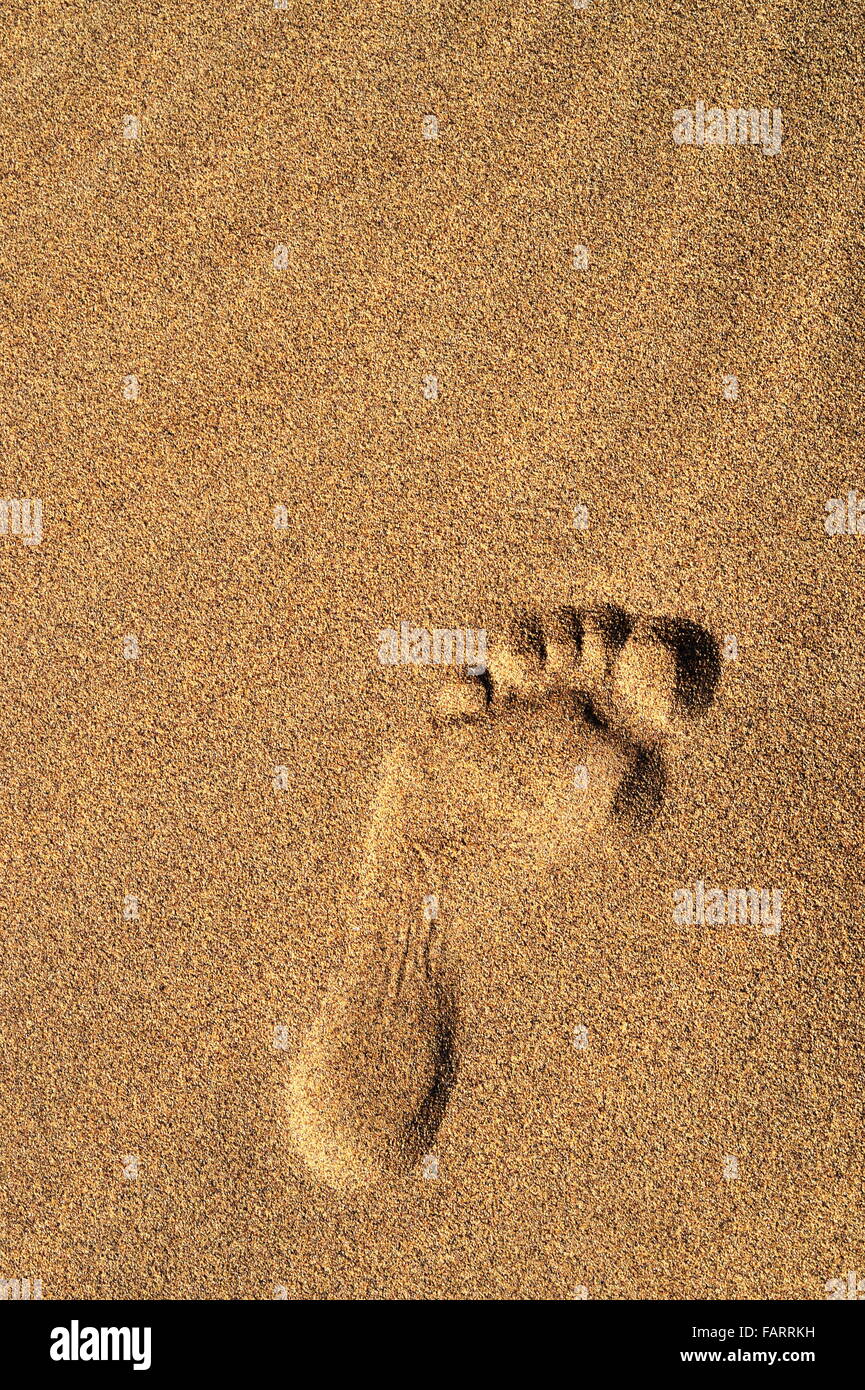 Footstep in sahara desert hi-res stock photography and images - Alamy