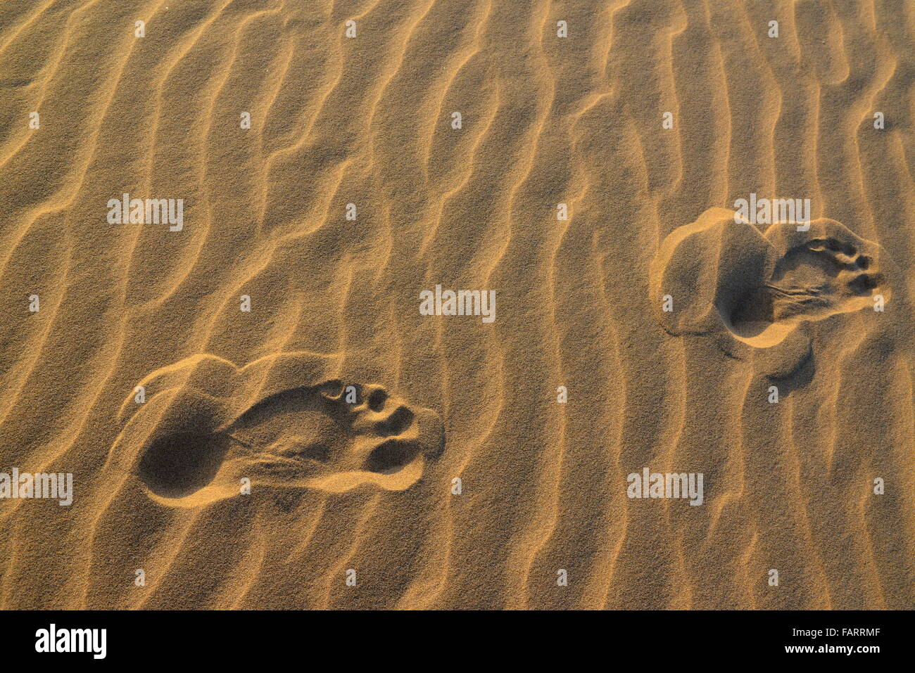 Footstep in sahara desert hi-res stock photography and images - Alamy