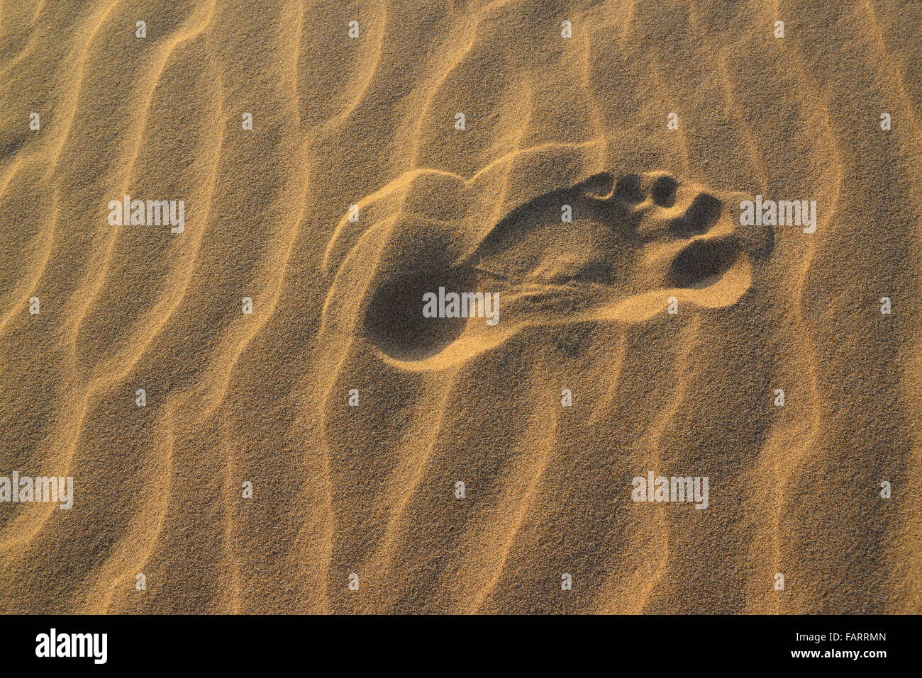 Footstep in sahara desert hi-res stock photography and images - Alamy