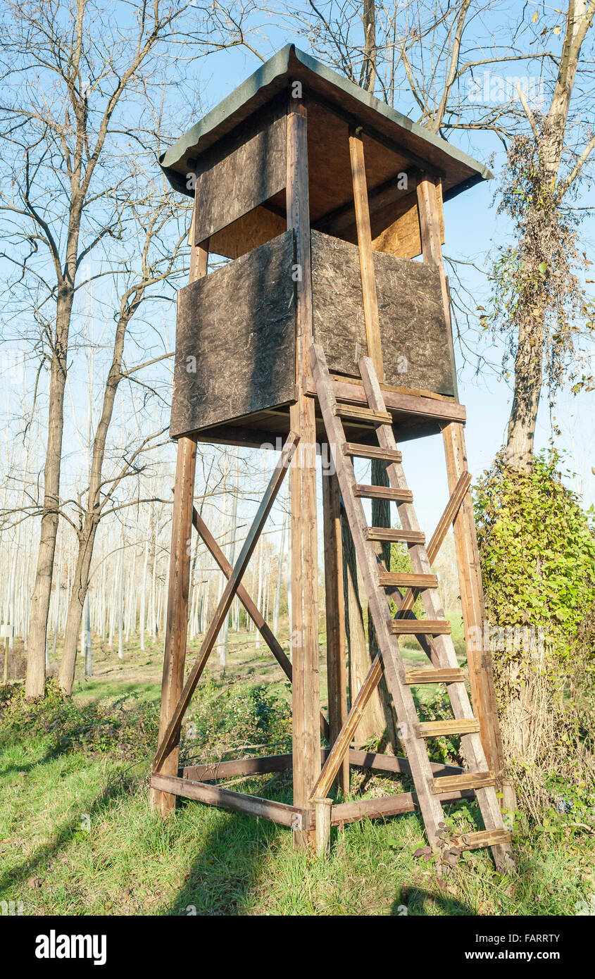 Raised shed hunting for deer in the middle of a forest of poplars Stock ...