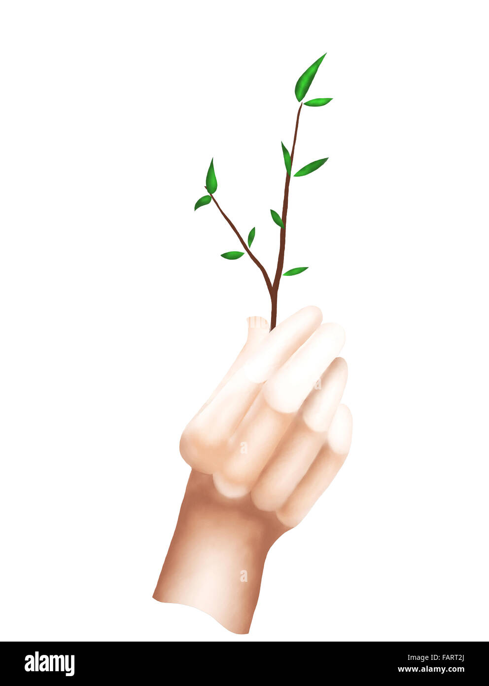 Hand Drawing, Human Hand Holding A Short Branch with Green Leaves ...