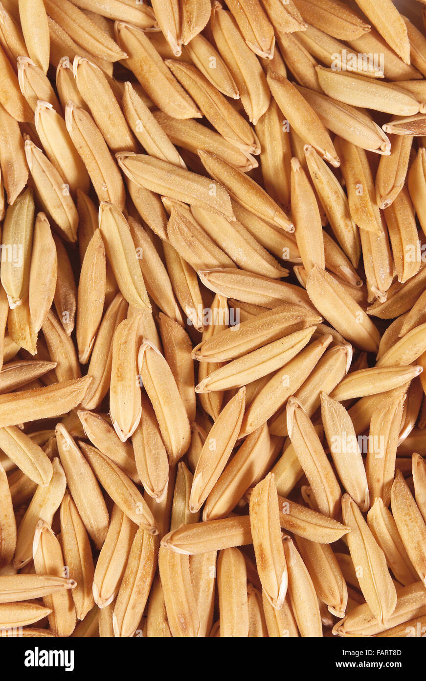 stock image of the unprocessed rice Stock Photo - Alamy