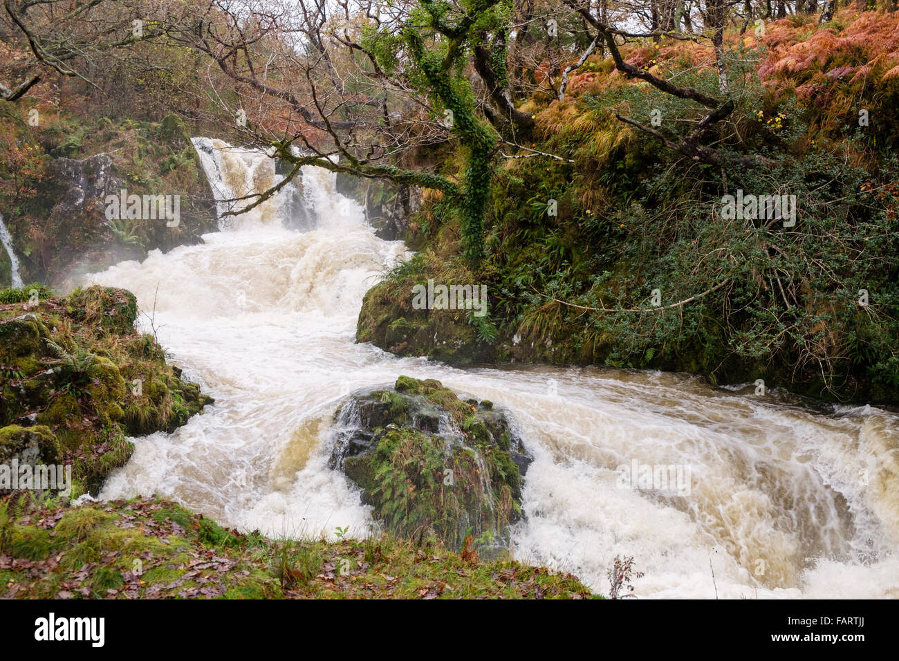 Fast flowing river hi-res stock photography and images - Alamy