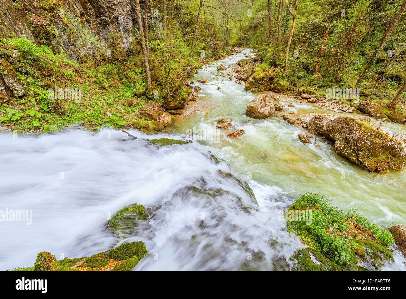 Waterfall in the deep narrow gorge at spring time. Caucasus. Russia ...