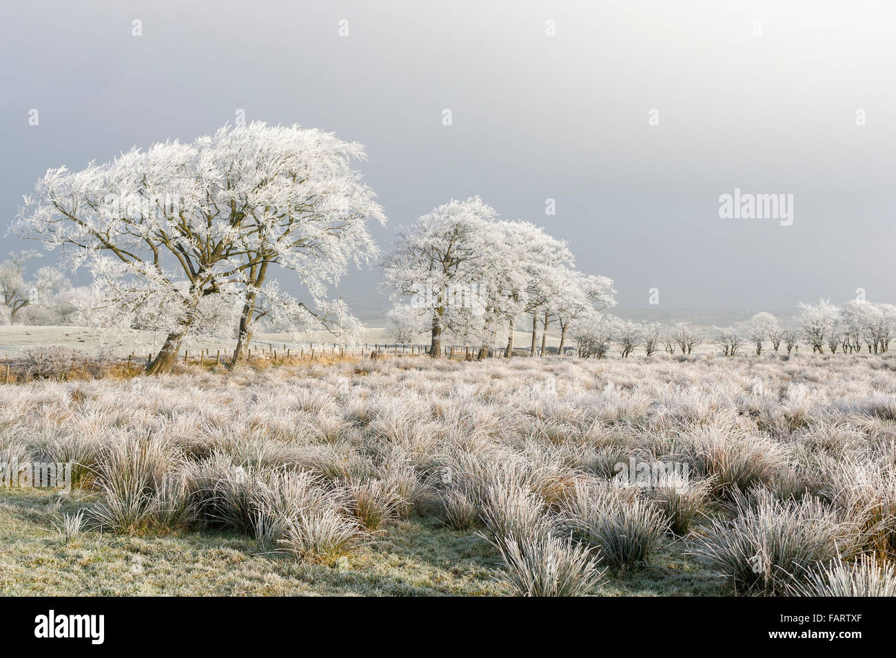 Scottish winter landscape, Priestland, East Ayrshire, Scotland Model ...