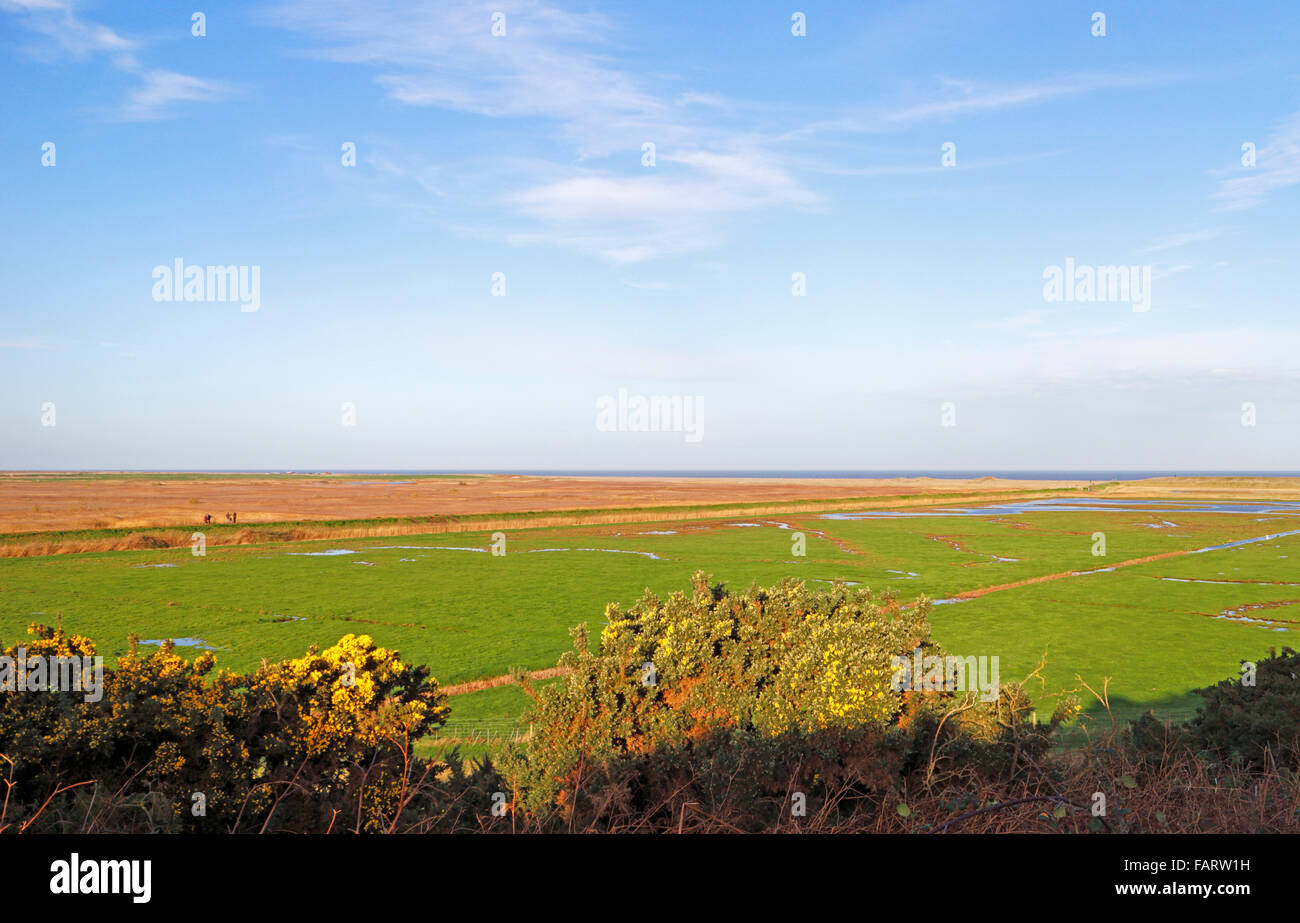 A view of Salthouse Marshes and Cley Nature Reserve from Walsey Hills ...