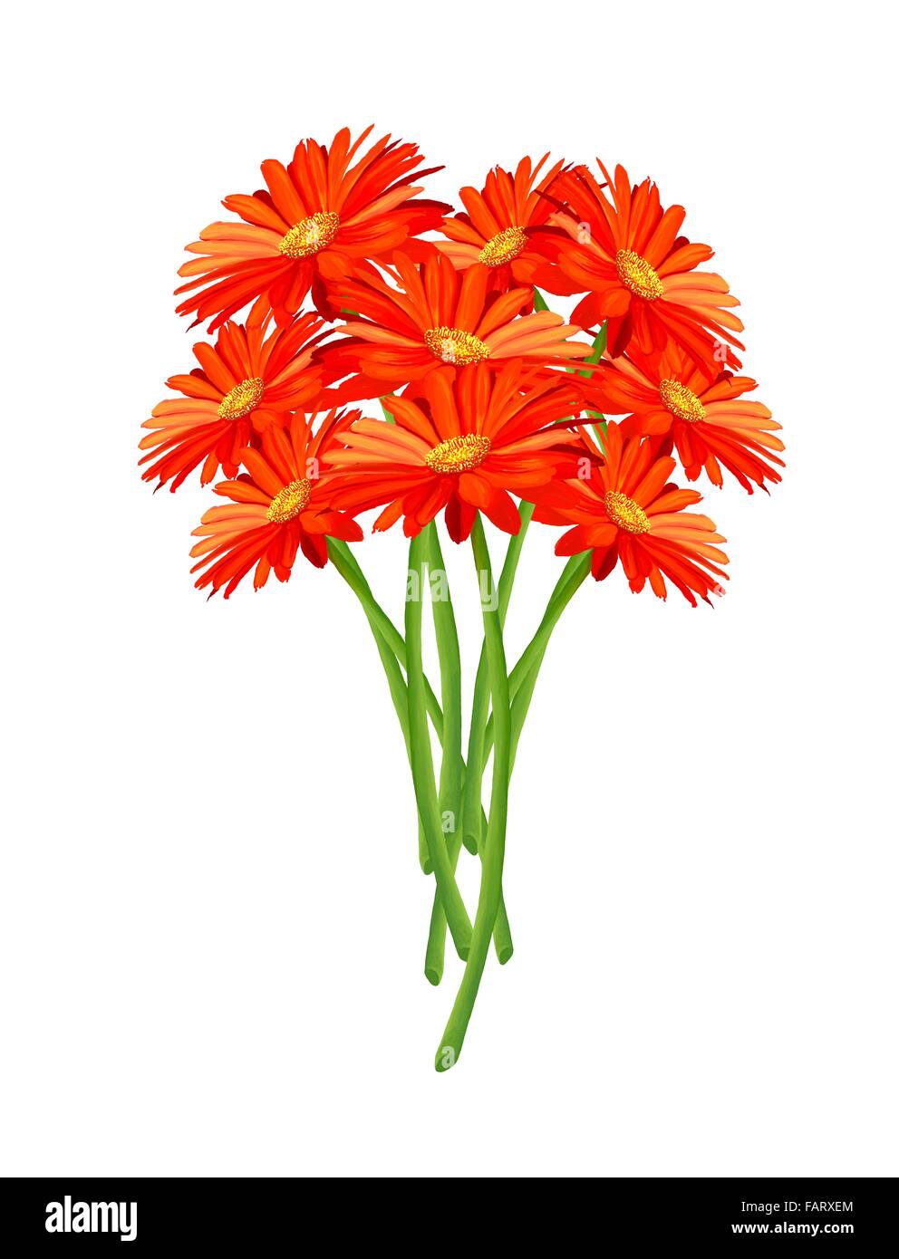 Gerbera Daisy Bouquet Drawing