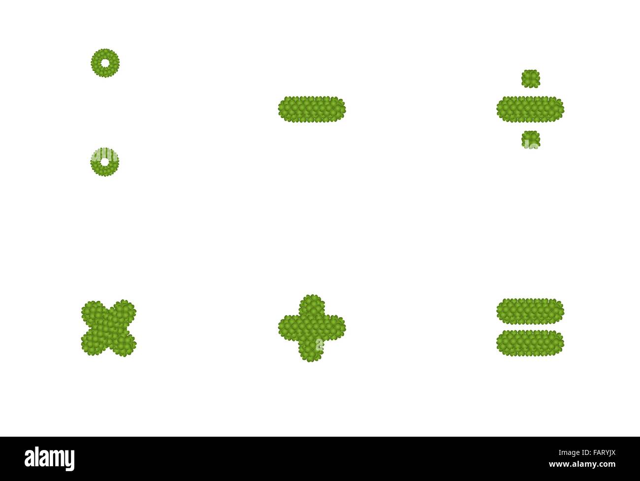 Ecology Concept, Fresh Green Four Leaf Clover Forming Mathematical ...
