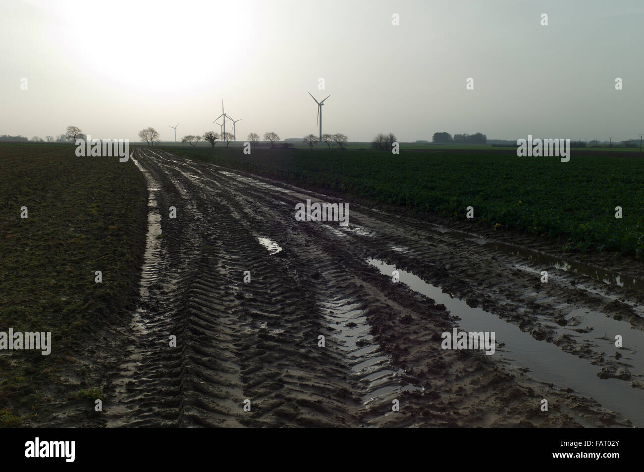 View muddy waterlogged fields hi-res stock photography and images - Alamy