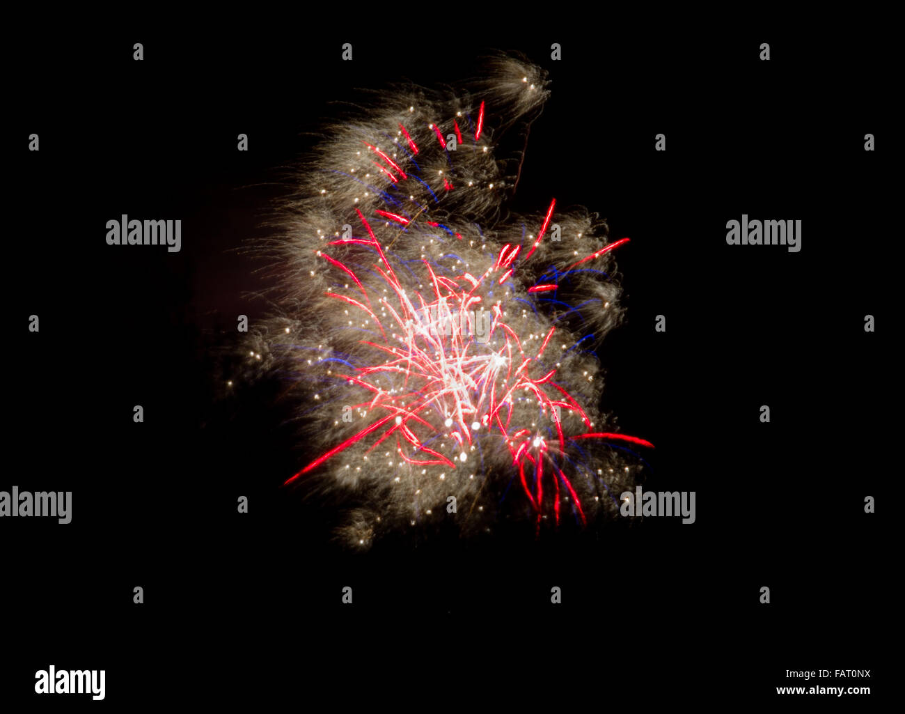Firework in the night Stock Photo - Alamy