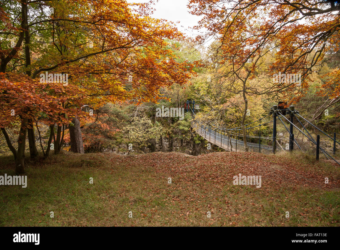 A scenic view of the Winch footbridge over the River Tees at Low Force ...