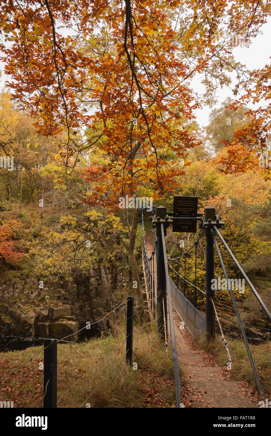 A scenic view of the Winch footbridge over the River Tees at Low Force ...
