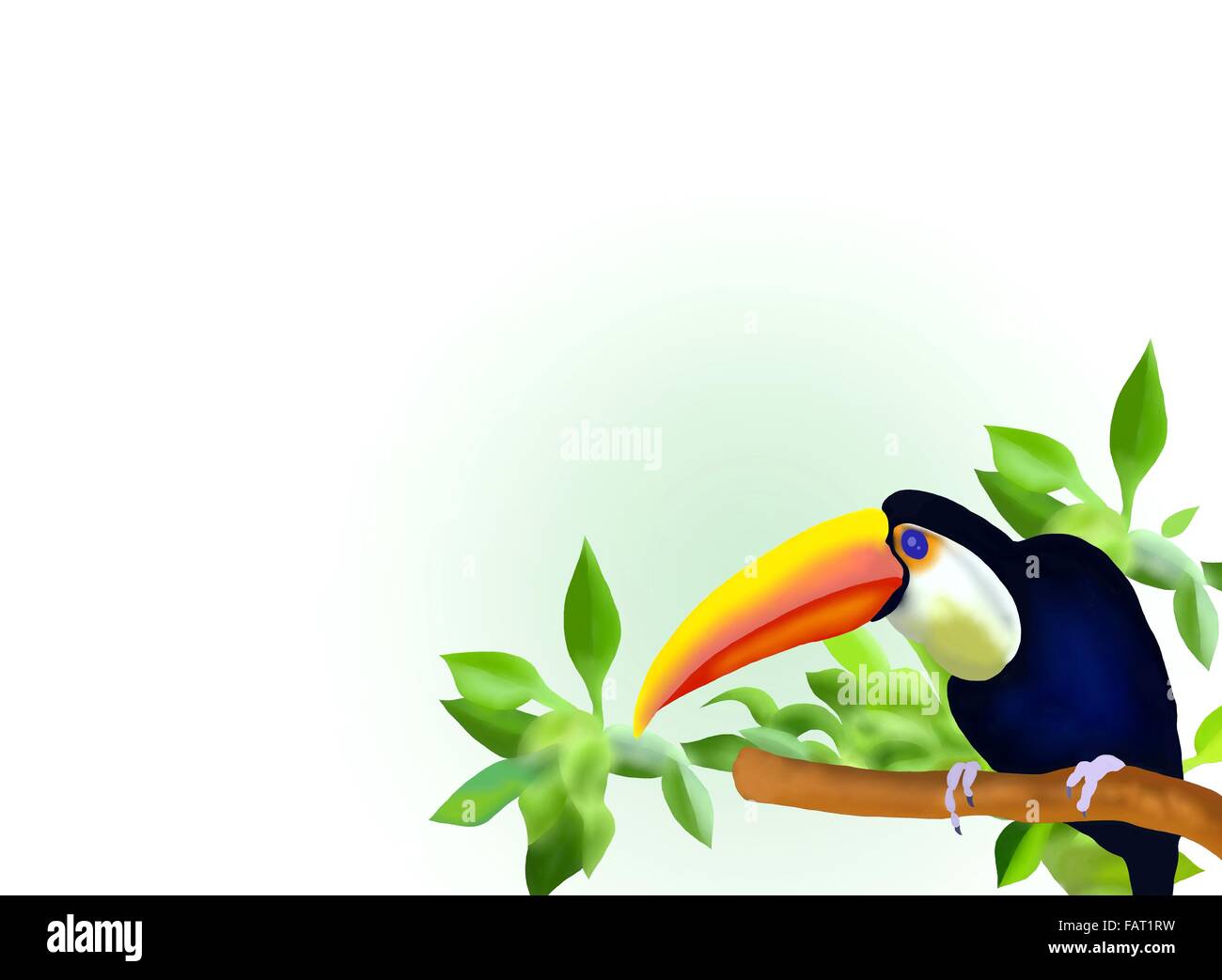 Hand Drawing of A Borneo Exoctic Great Hornbill Bird on Branch in Rain ...