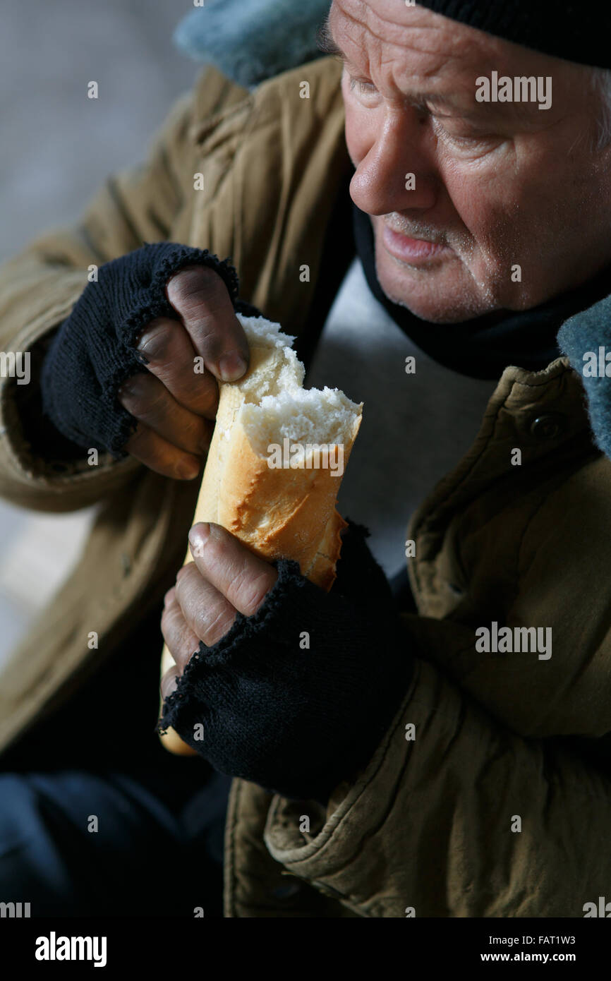 Male sitting up and begging hi-res stock photography and images - Alamy