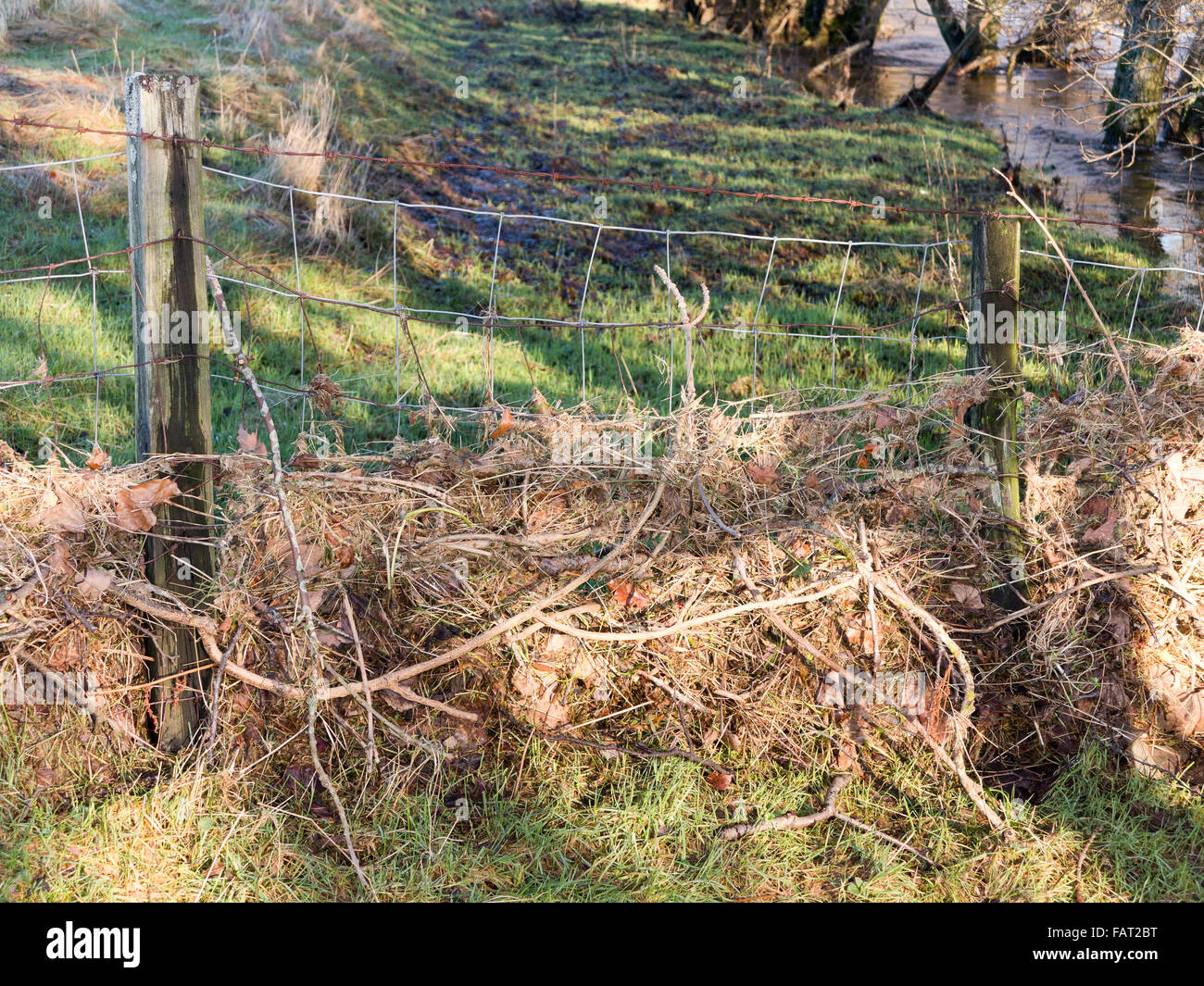 A post and wire stockproof fence containing flood debris on river bank ...