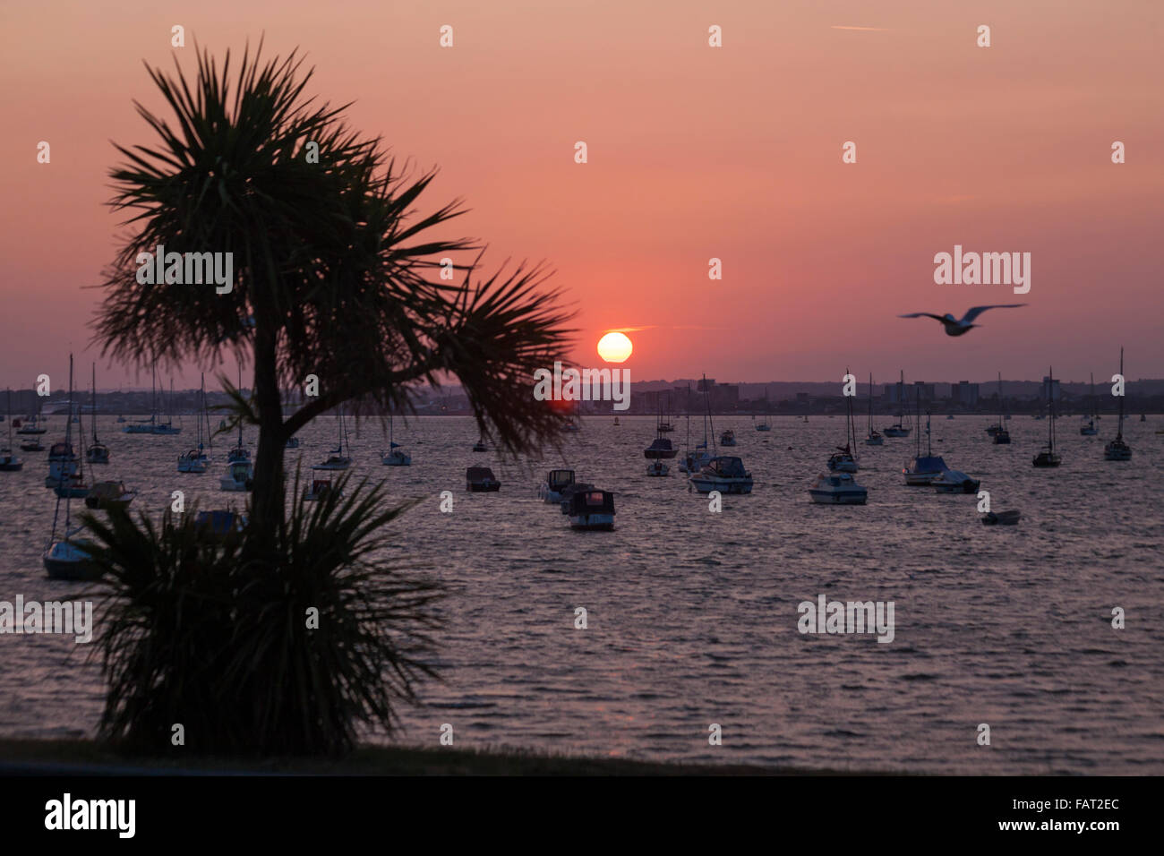 Stunning sunset at Sandbanks looking over Poole Harbour in July Stock ...