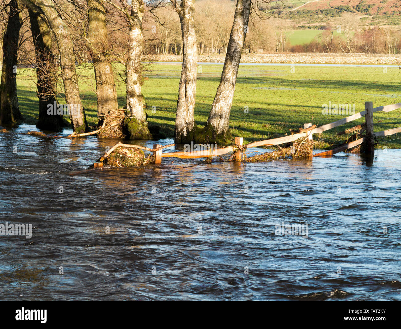 Partly submerged wooden fence containing flood debris and submerged ...