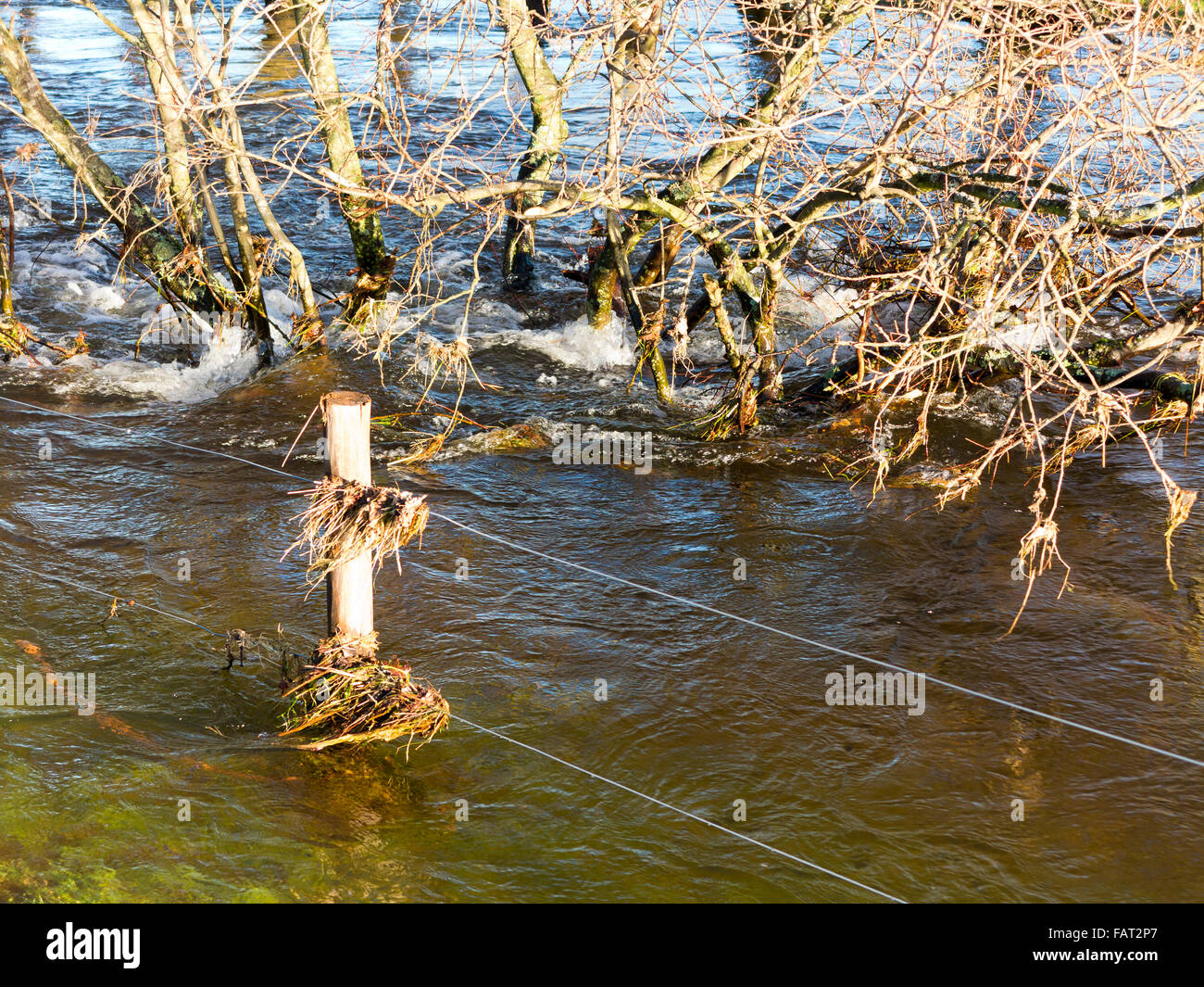 Partly submerged fire fence and bushes containing flood debris Stock ...