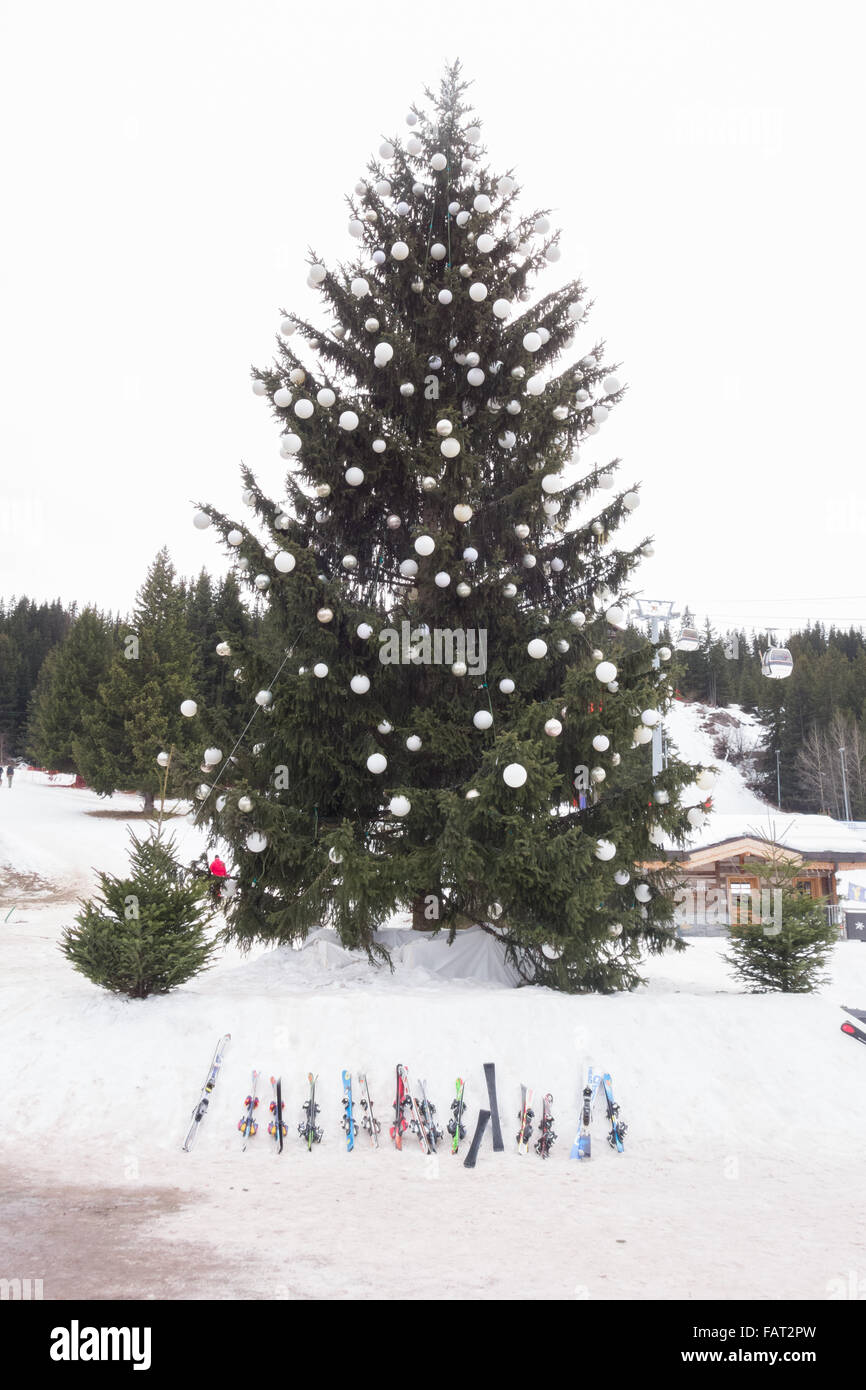 Tree skiing hi-res stock photography and images - Alamy
