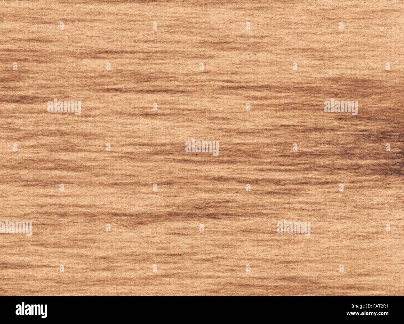 Hand Drawing of Wooden Texture of Cutted Tree Trunk Background Stock ...