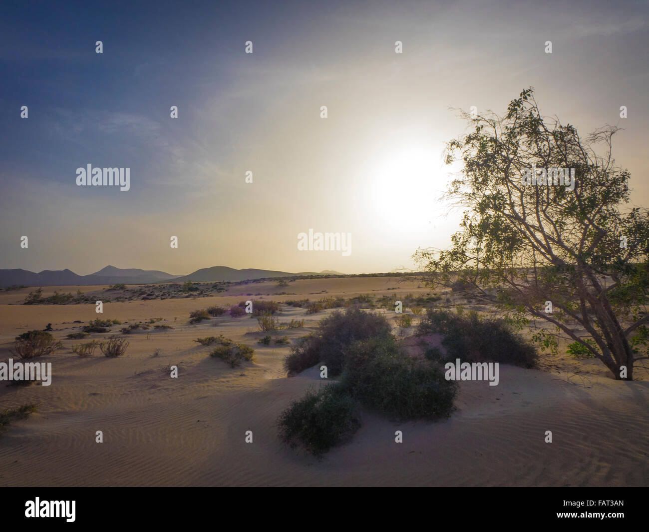 sunset with sand patterns after wind and rain on the Nature reserve ...