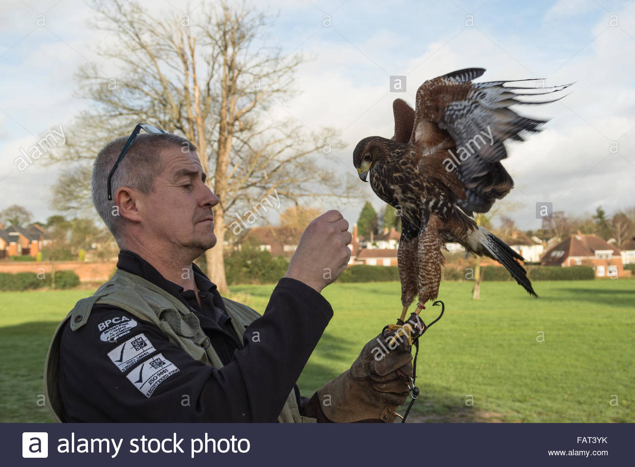 Falconry School High Resolution Stock Photography and Images - Alamy