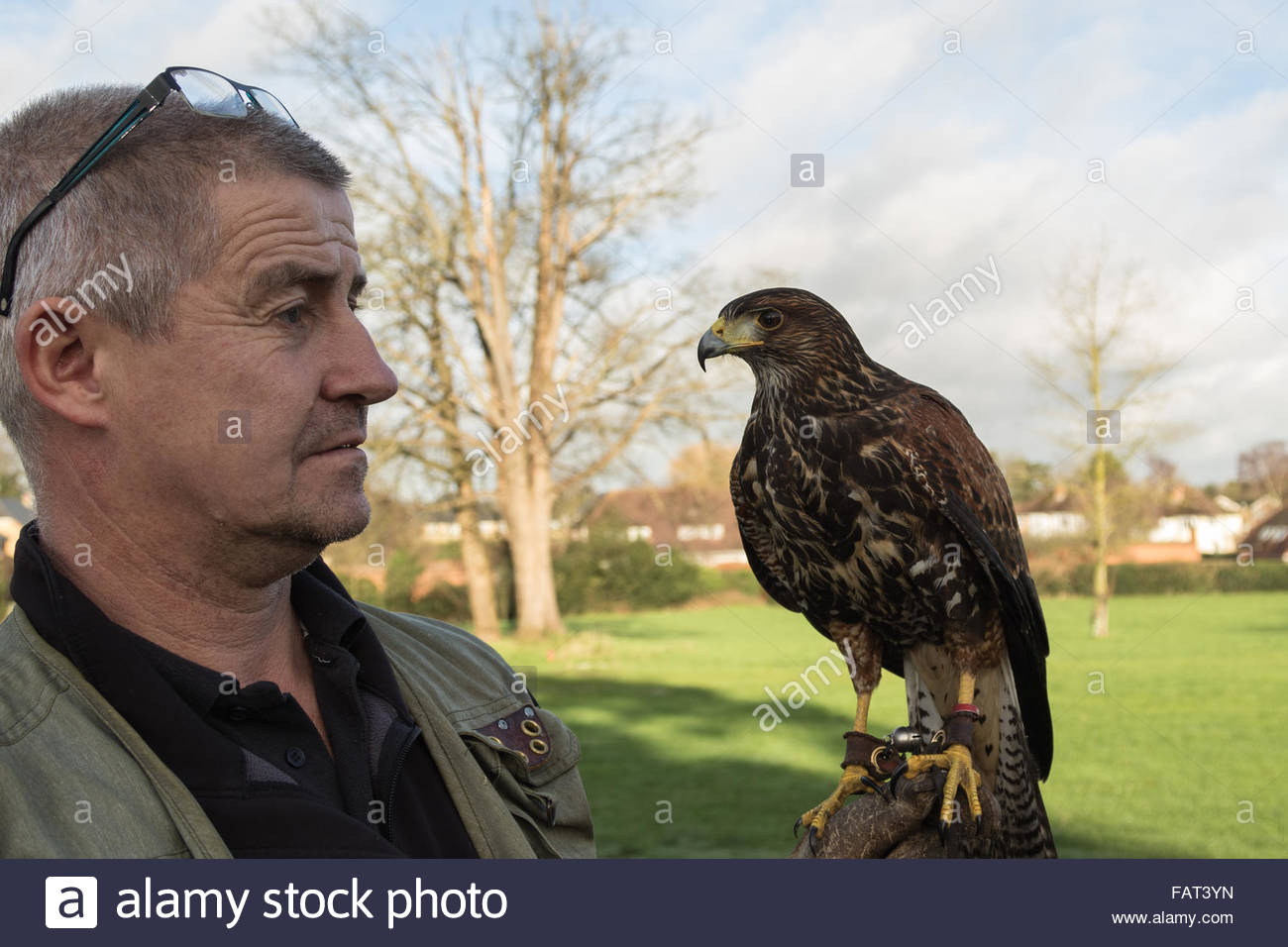 Falconry School High Resolution Stock Photography and Images - Alamy