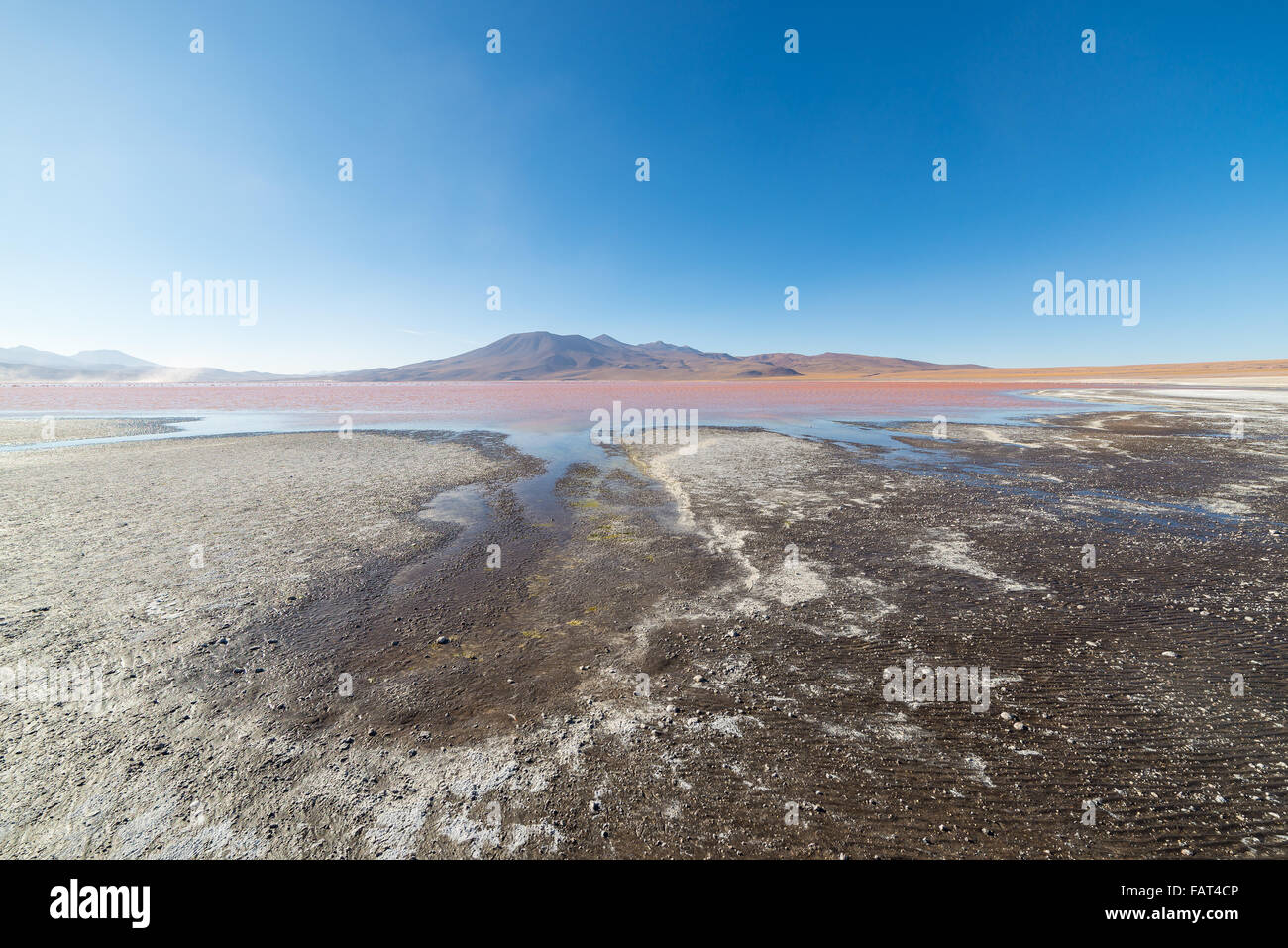 Among the m hi-res stock photography and images - Alamy