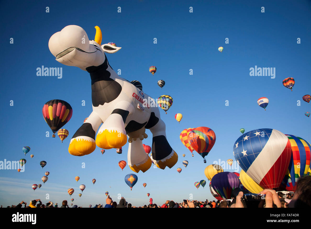 Balloon fiesta albuquerque cow hi-res stock photography and images - Alamy