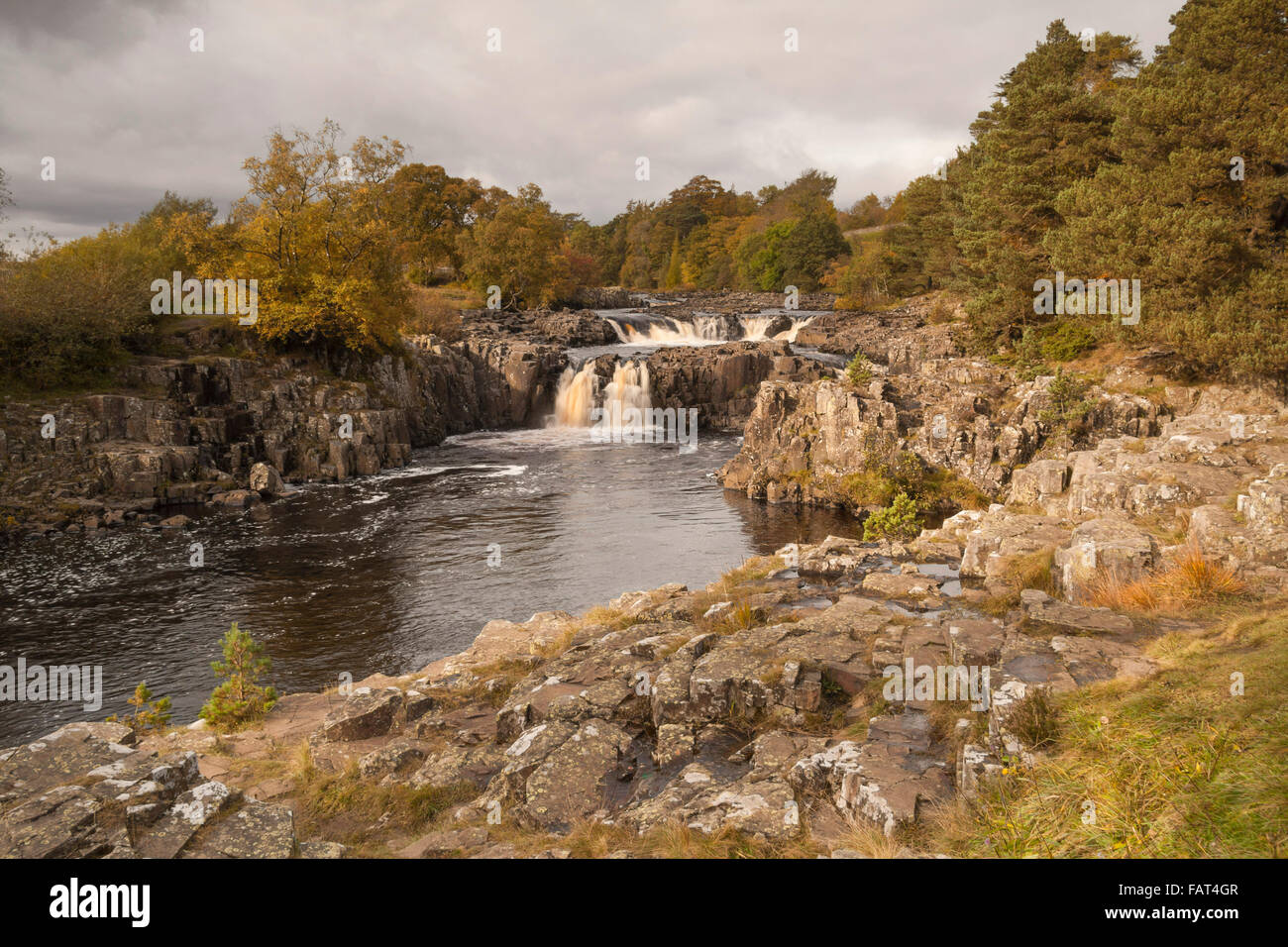 A view of the waterfalls on the River Tees at Low Force,Teesdale,Co ...