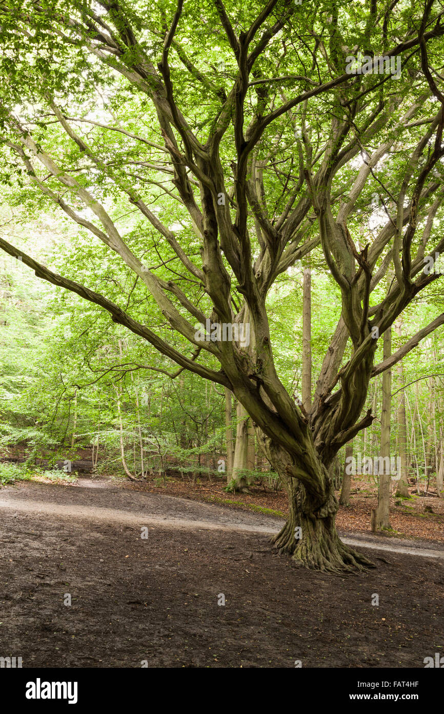 A sign - "keep out" in UK Stock Photo - Alamy