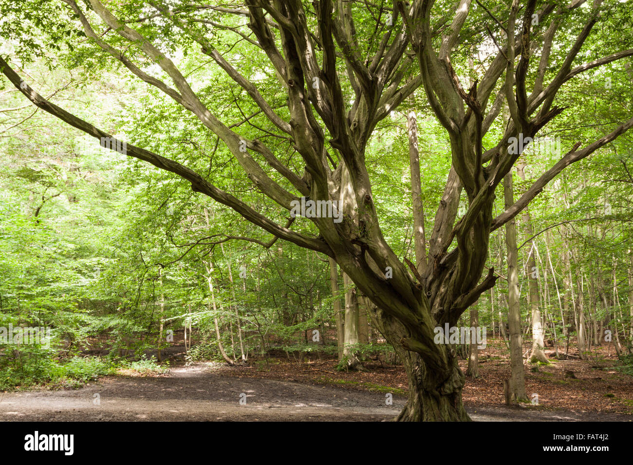 A sign - "keep out" in UK Stock Photo - Alamy