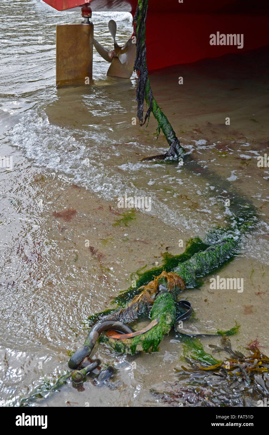 Rudder propeller keel hull maritime marine overgrown sea weed vertical ...