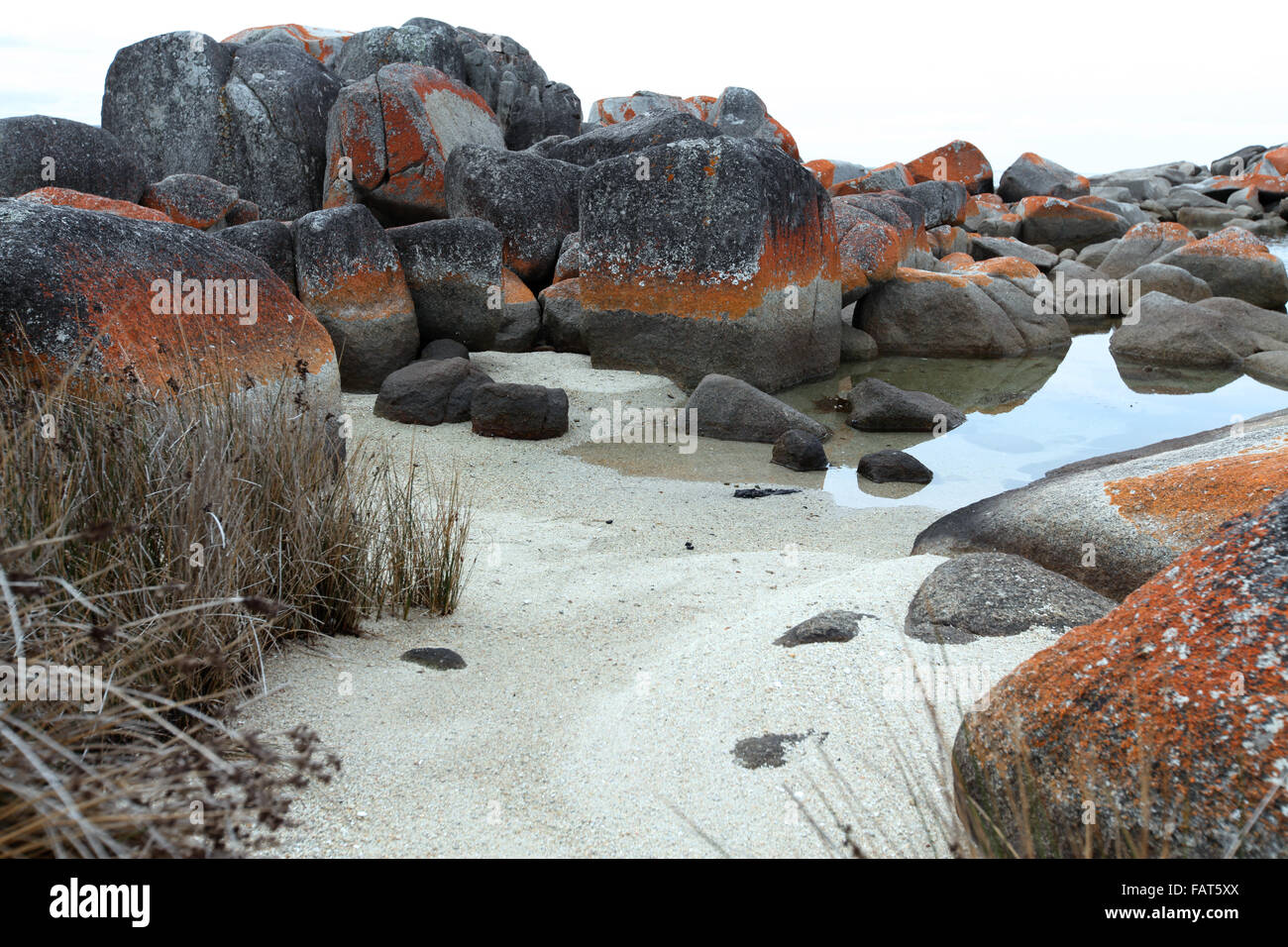 Binalong bay tasmania hi-res stock photography and images - Alamy