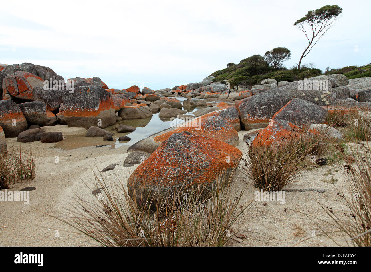Small beach rocks hi-res stock photography and images - Alamy