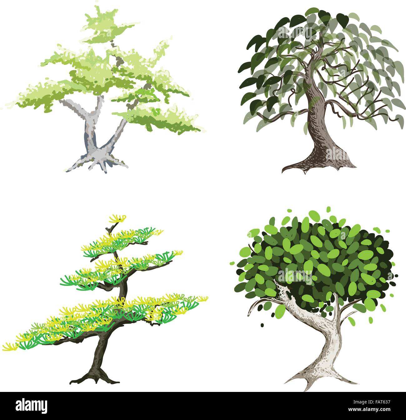 An Illustration Collection of Landscaping Tree Symbols or Isometric ...