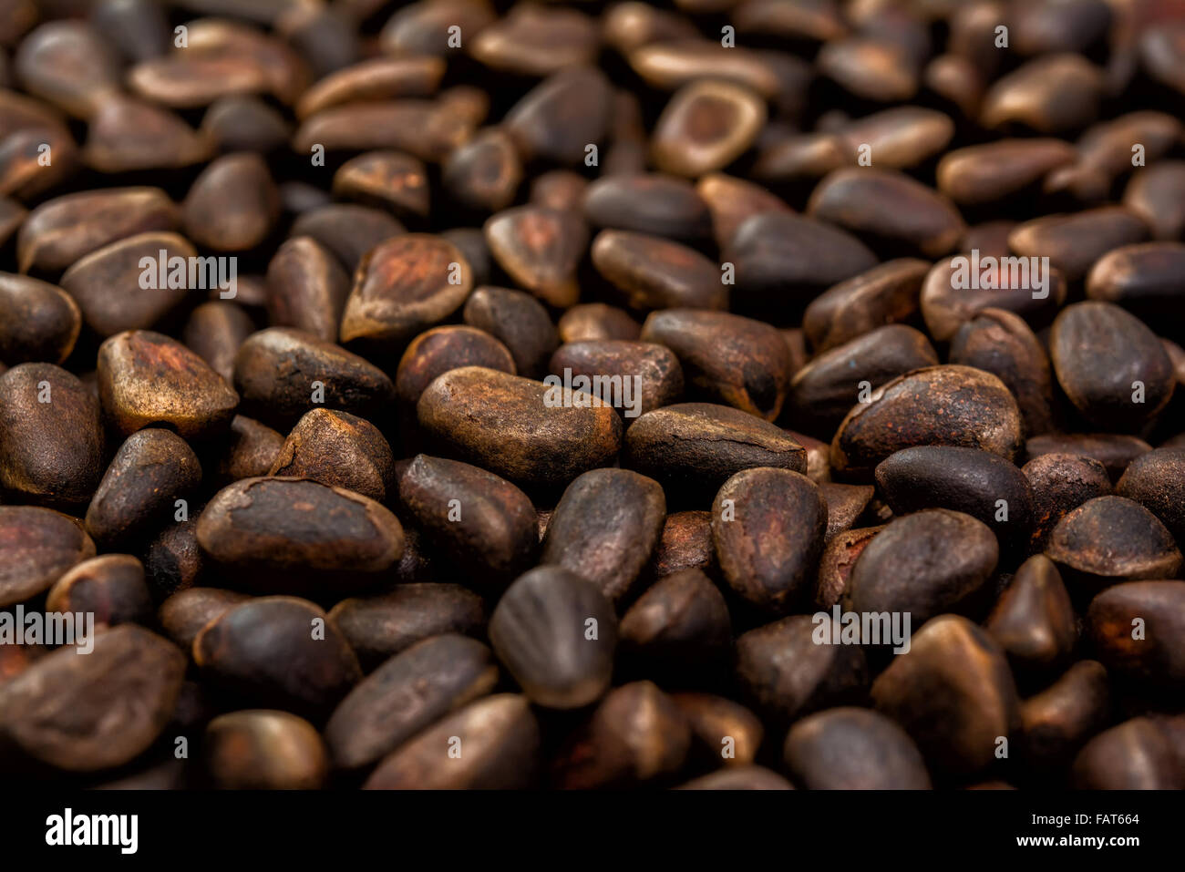 Cedar raw unpeeled nuts. Closeup background texture Stock Photo - Alamy