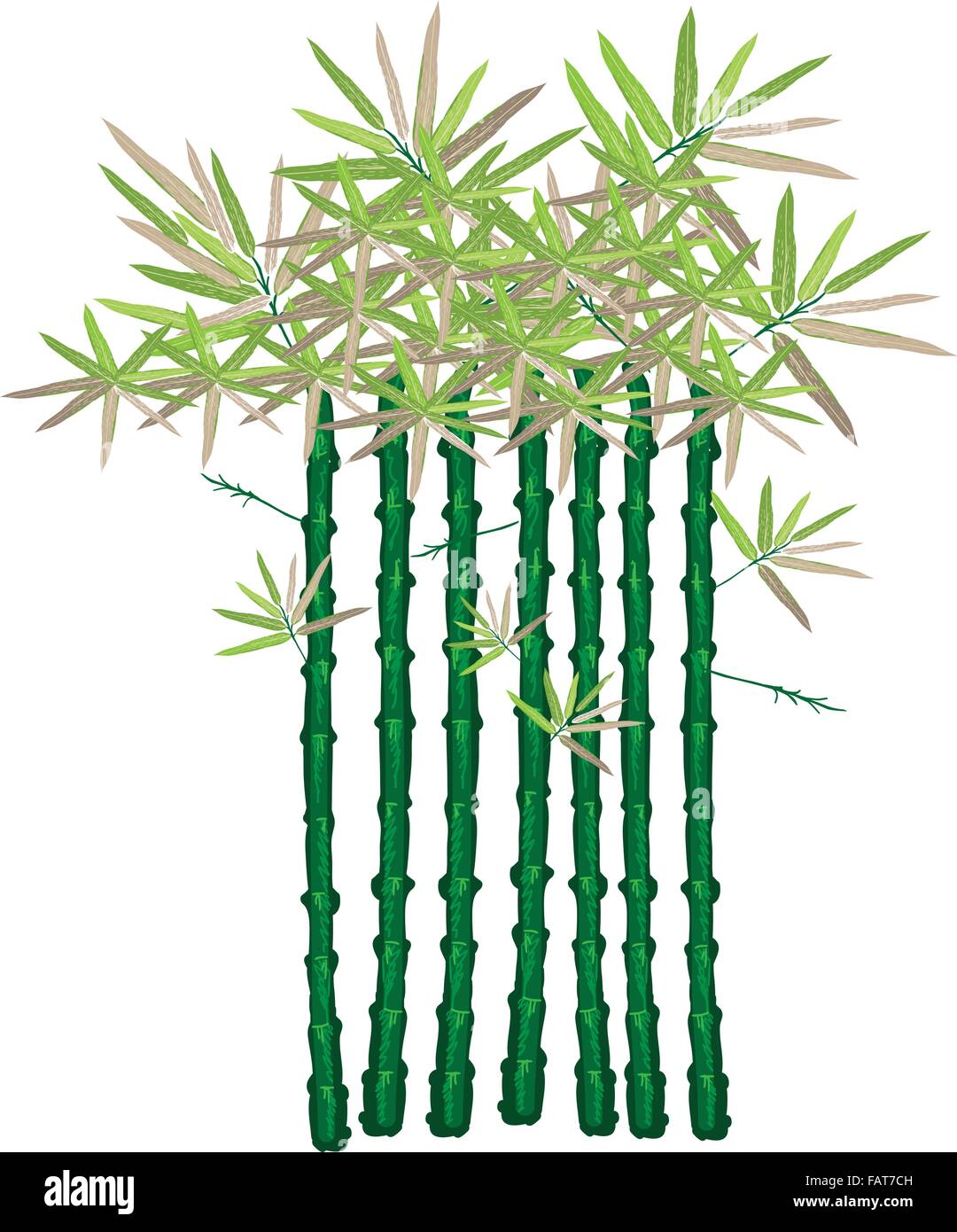 An Illustration Set of Landscaping Tree Symbol or Isometric of Bamboo ...