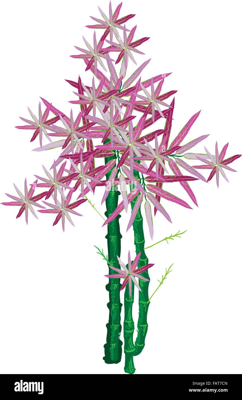 An Illustration of Landscaping Tree Symbol or Isometric of Bamboo Trees ...