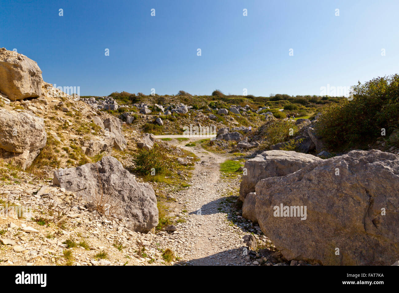 The derelict Portland stone Tout Quarry, now a Nature Reserve and ...