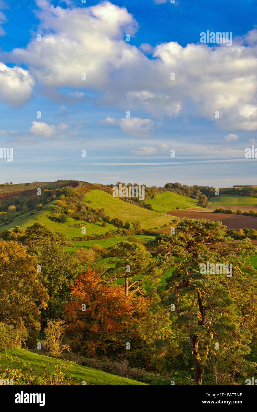 The view of Pen Hill from the summit of the historic Cadbury Hill in ...