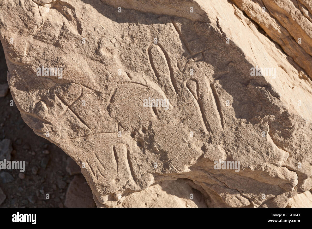 Inscriptions at Vulture Rock at entrance to Wadi Hellal, el Kab ...