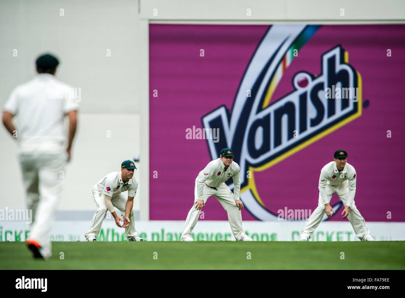 Steve marsh cricket hi-res stock photography and images - Alamy